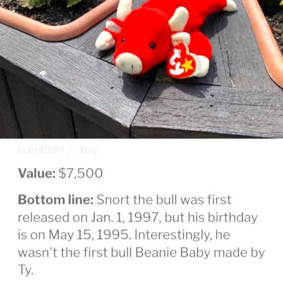 Ty | Toys | Beanie Babies Snort The Bull | Poshmark